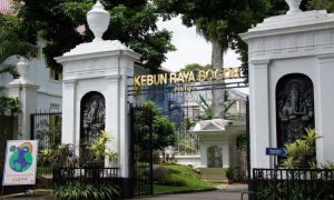 Kebun Raya Bogor, Kebun Botani Indah Dengan Beragam Koleksi Bunga ...