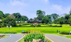 Kebun Raya Bogor, Kebun Botani Indah Dengan Beragam Koleksi Bunga ...